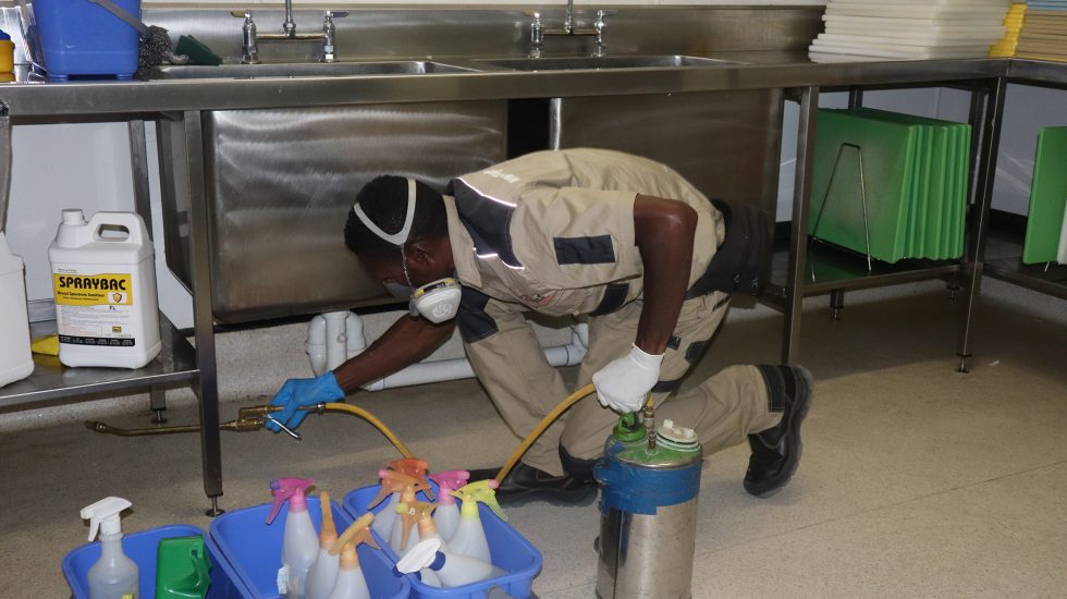 Pest Control Treatment - ProPest Control